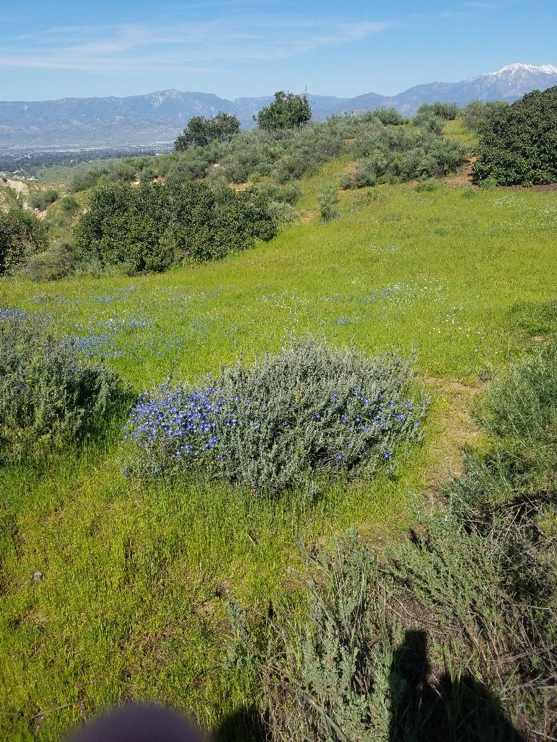 Two Canyons Parklands – Presented by Two Canyons Conservancy