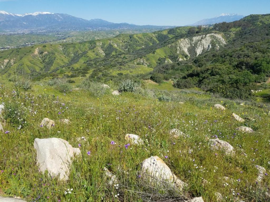 Two Canyons Parklands – Presented by Two Canyons Conservancy