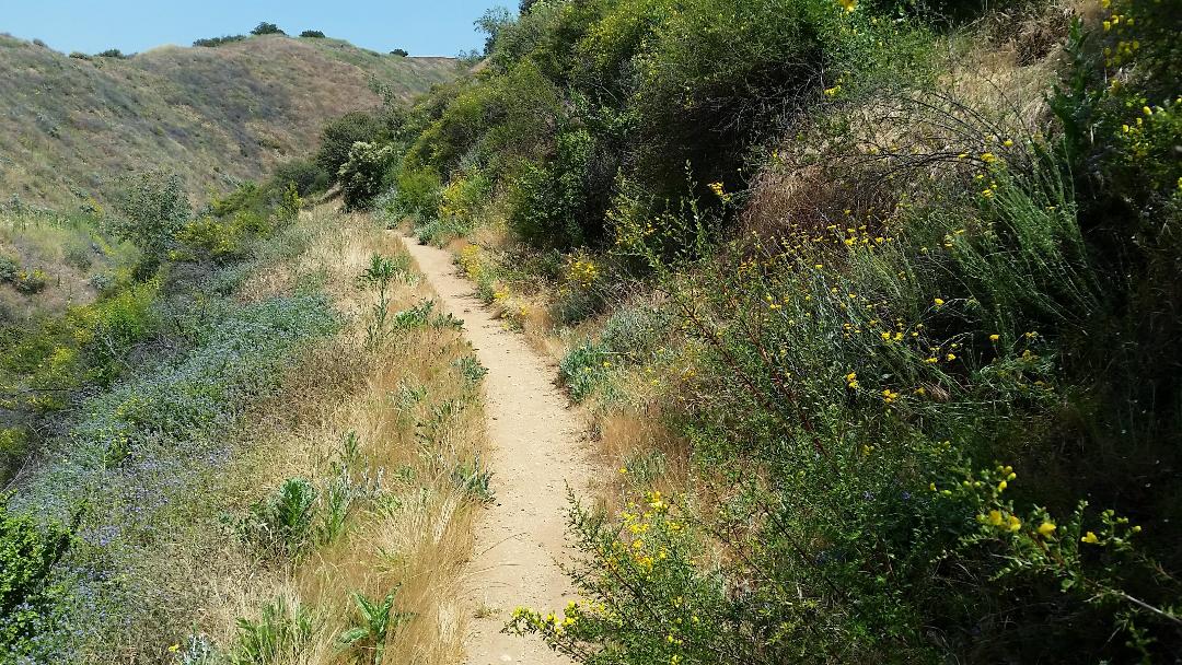 Two Canyons Parklands – Presented by Two Canyons Conservancy