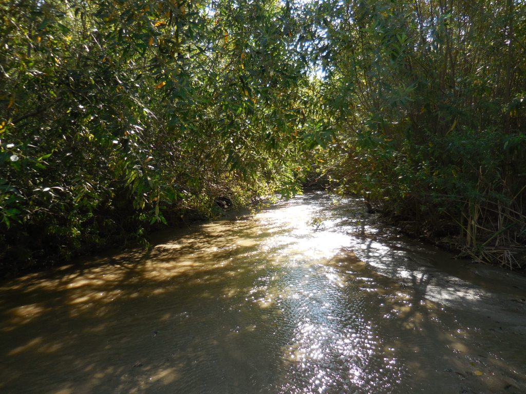 Two Canyons Parklands – Presented by Two Canyons Conservancy